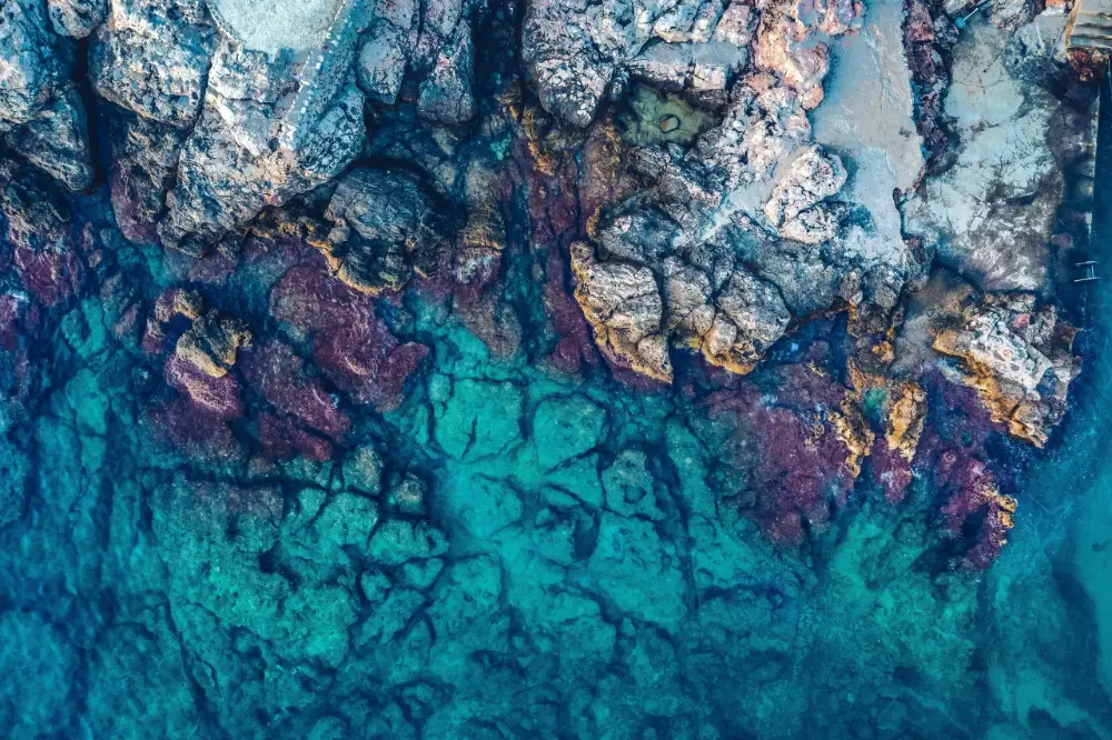 The Importance of Geography in STEM Education